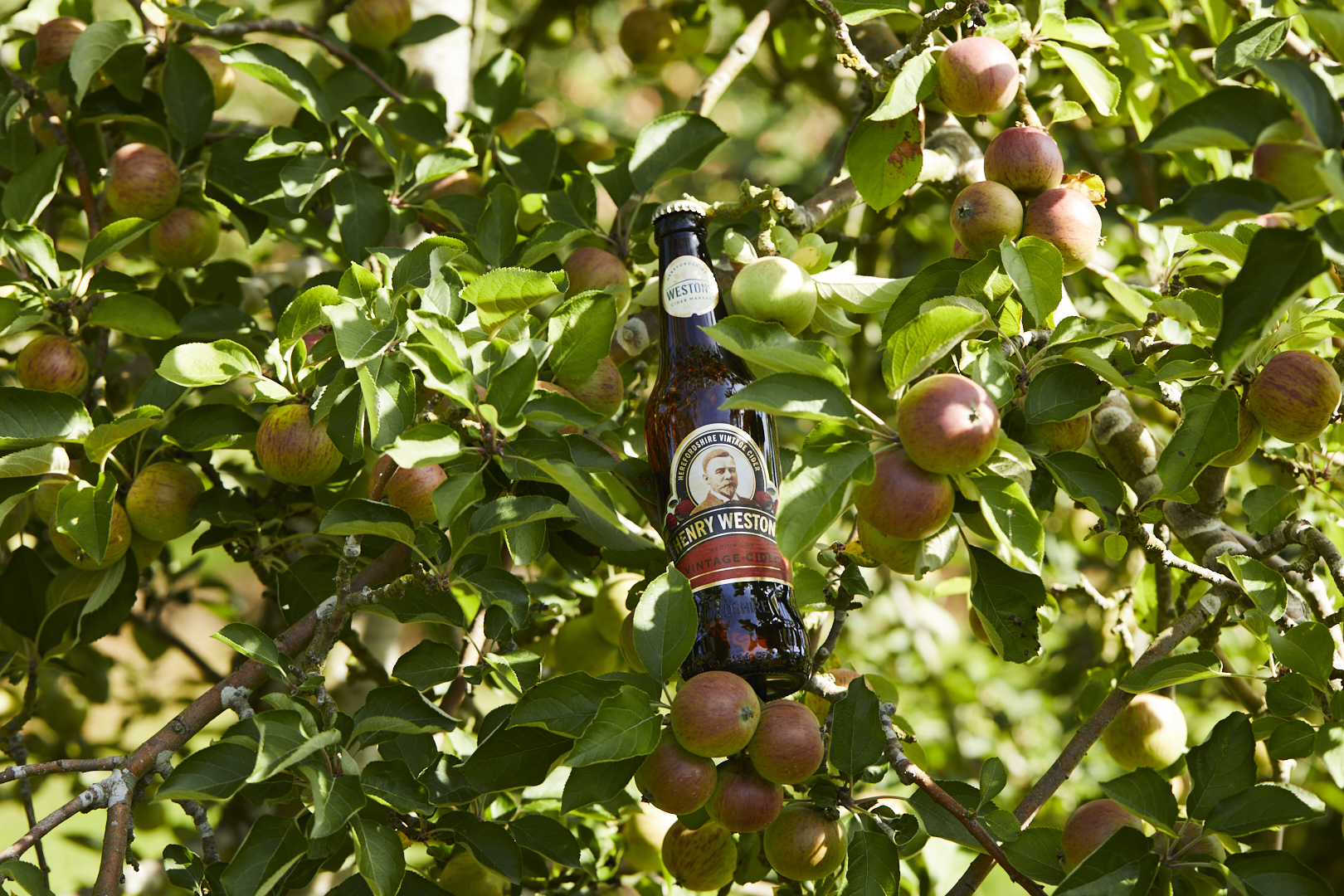 Welcome to Westons Cider