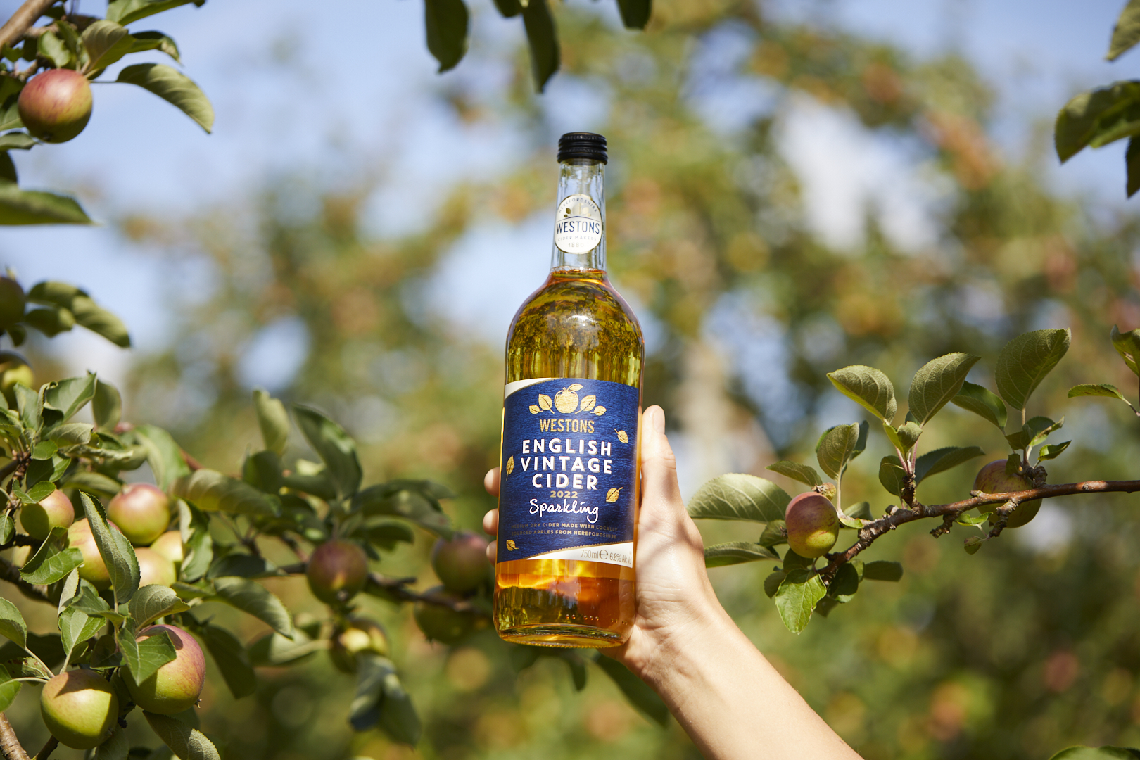 Our Ciders | Westons Cider