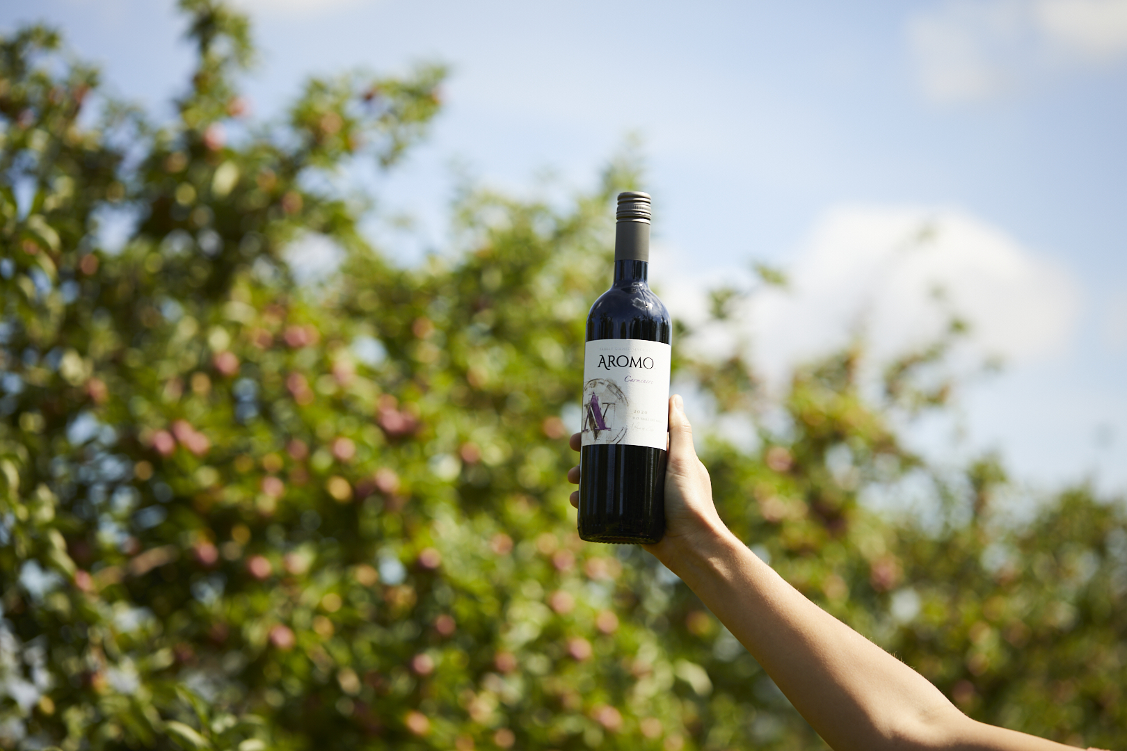 Our Ciders | Westons Cider